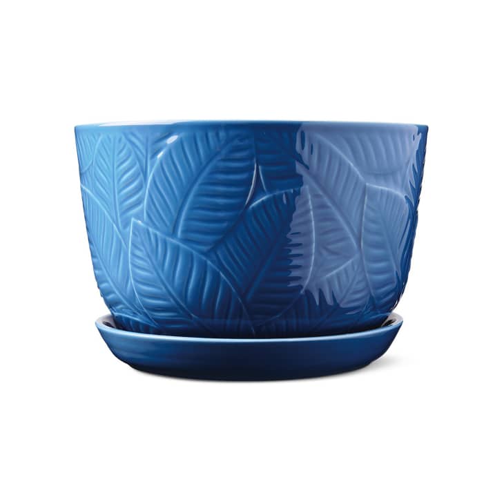 The New Aldi Home Decor Items Coming to Stores in May 2023 | The Kitchn