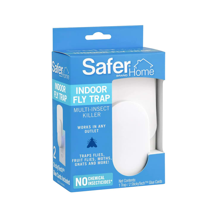 Safer Home Indoor Plug-In Fly Trap Review 2023 | The Kitchn