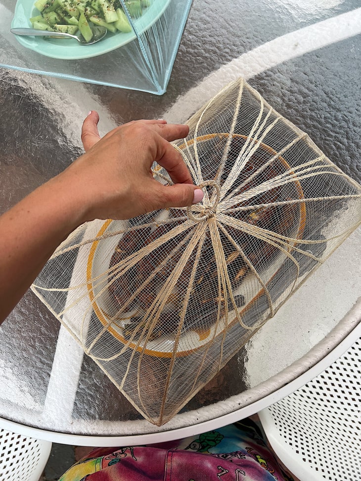 Do Food Covers Really Work For Keeping Pests Away? | The Kitchn