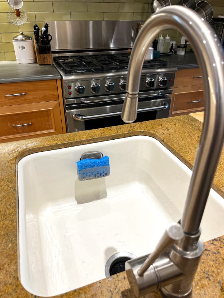 OXO Good Grips Stronghold Suction Sponge Holder (Tested) | The Kitchn