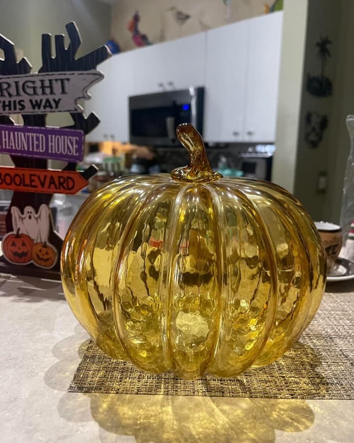 If You Spot This $15 Aldi Decor Gem in Stores, Grab It | The Kitchn