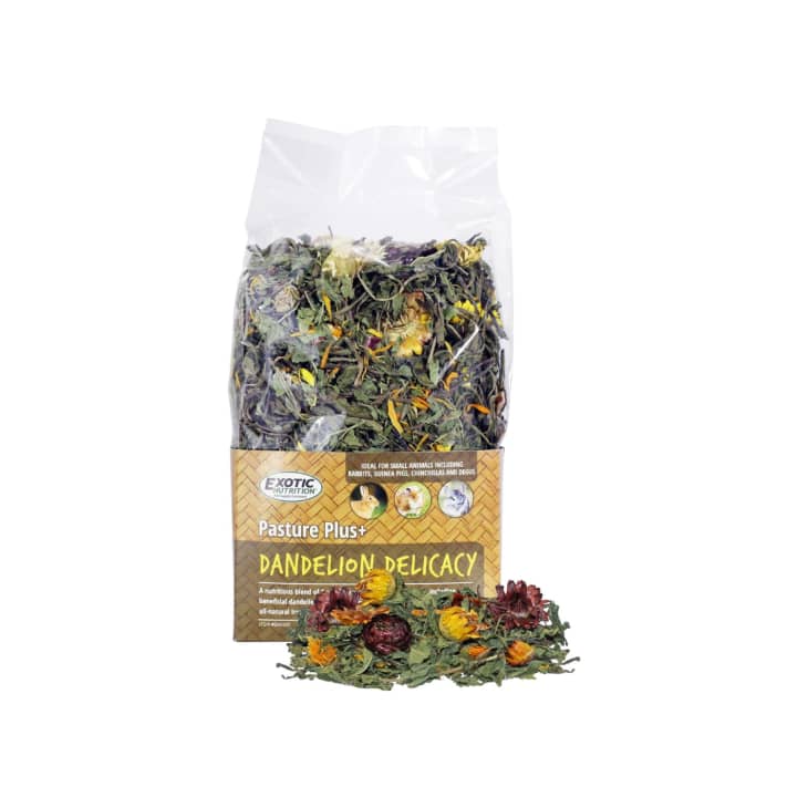 9 Best Edible Flowers for Garnishing Food (and 6 to Avoid) | The Kitchn