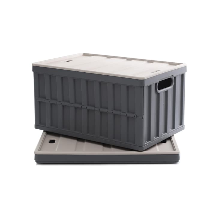 The Collapsible $10 Costco Organizer I Can’t Live Without | The Kitchn