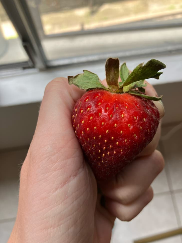 How to Pick Out the Best Strawberries Using the “Tip Top” Rule | The Kitchn