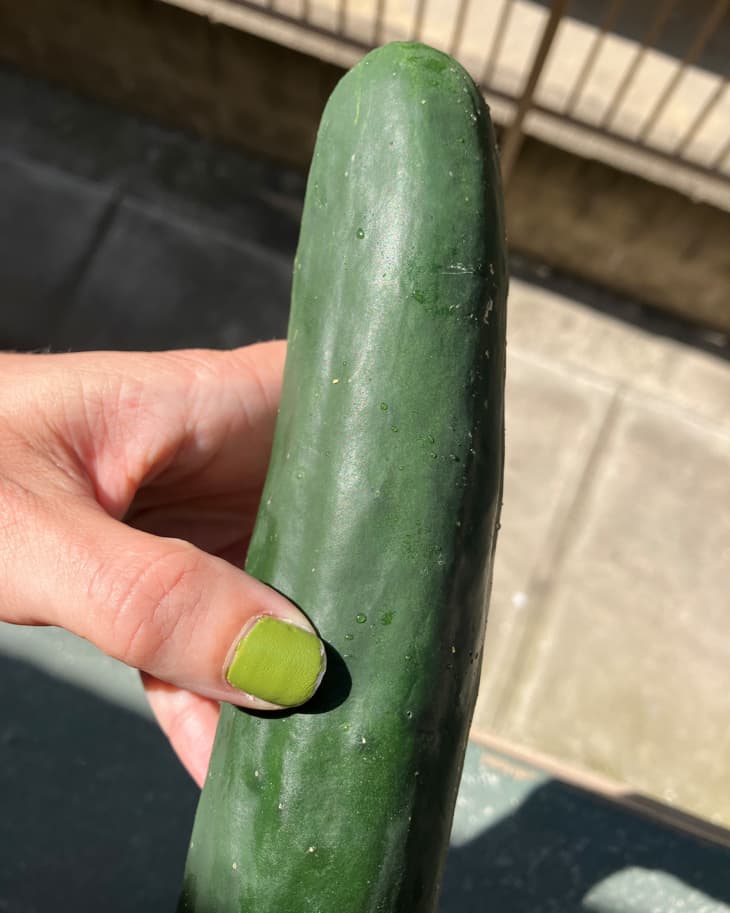 How to Pick Out the Best Cucumbers: the “Yellow Strip” Rule | The Kitchn