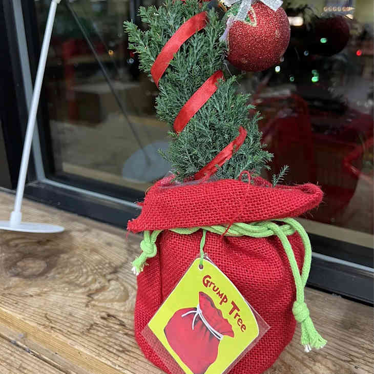 The “Grumpy” $10 Trader Joe's Living Gem I Buy Every Winter | The Kitchn