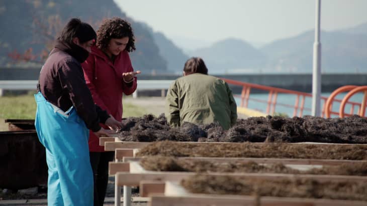 The 10 Best Moments from Netflix's "Salt Fat Acid Heat" | The Kitchn