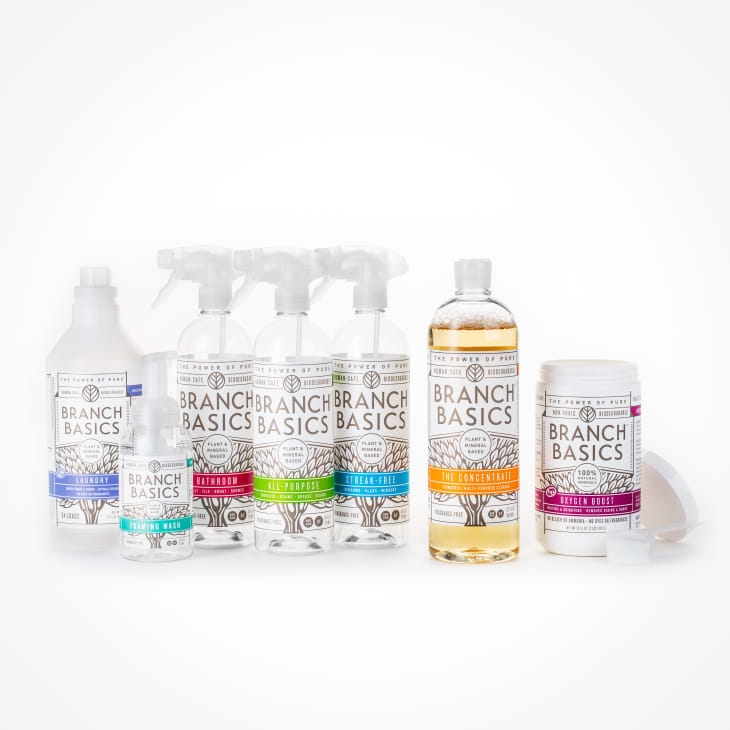 Branch Basics Cleaning Review | The Kitchn