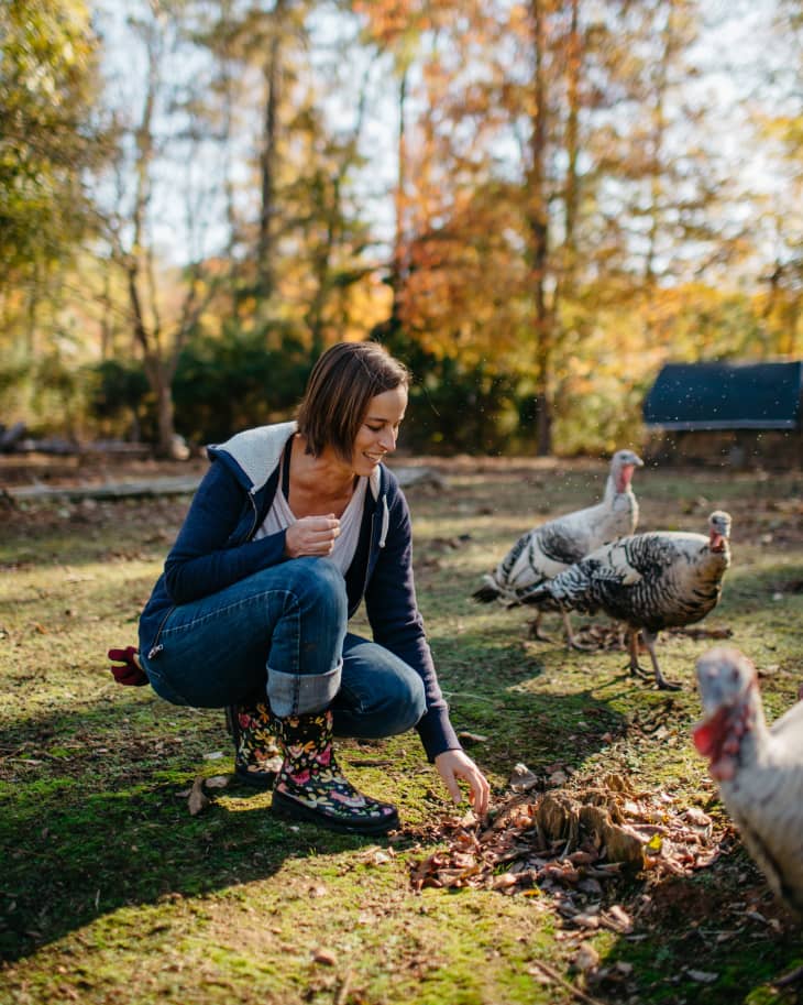 The Way We Eat: How a Heritage Turkey Farmer in S.C. Celebrates ...