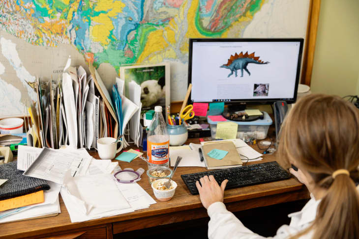 The Way We Eat: Natalie Toth, Dinosaur Hunter and Fossil Expert in ...