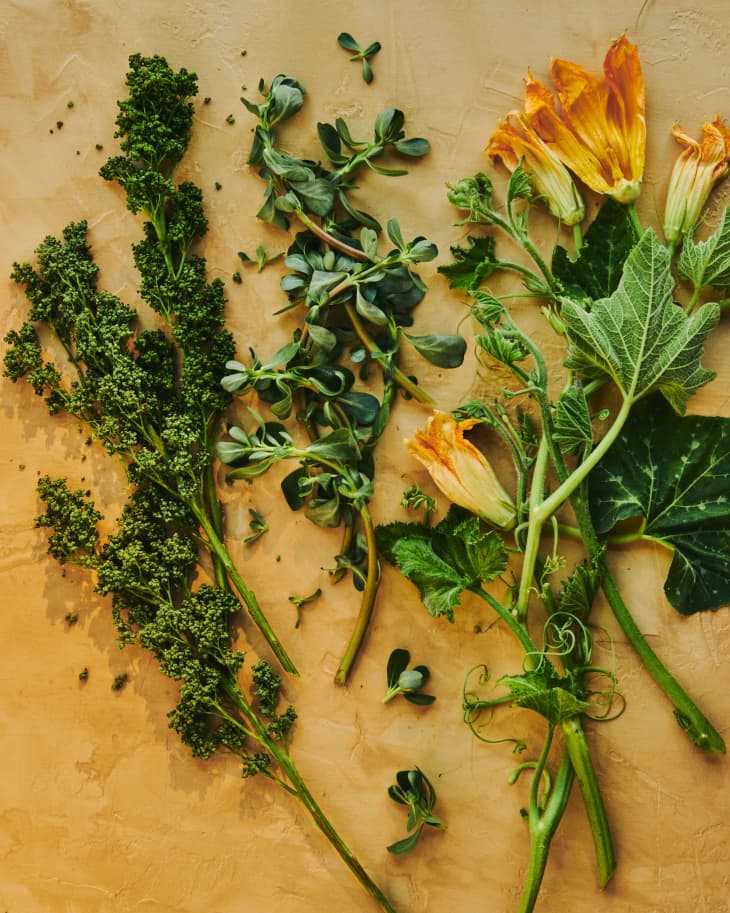 The Importance of Quelites in Mexican Cuisine | The Kitchn