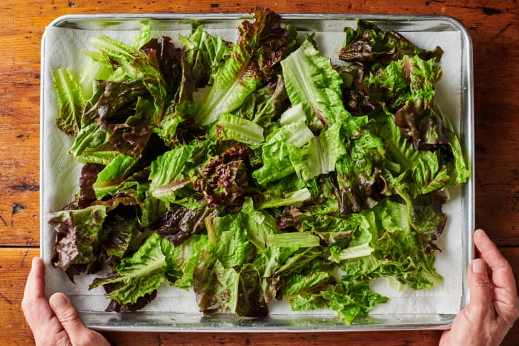 The Best Method for Washing and Drying Salad Greens | The Kitchn