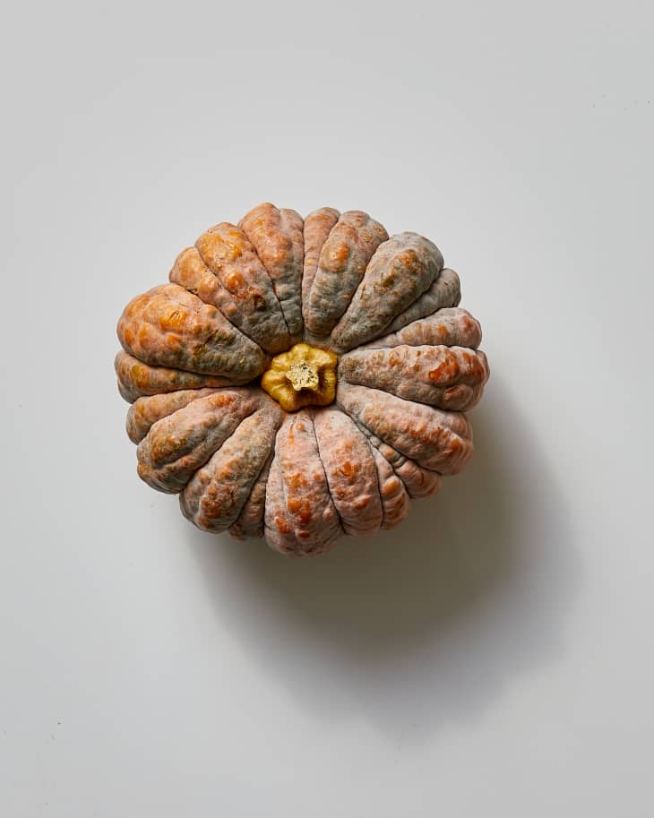 Types of Pumpkins | The Kitchn