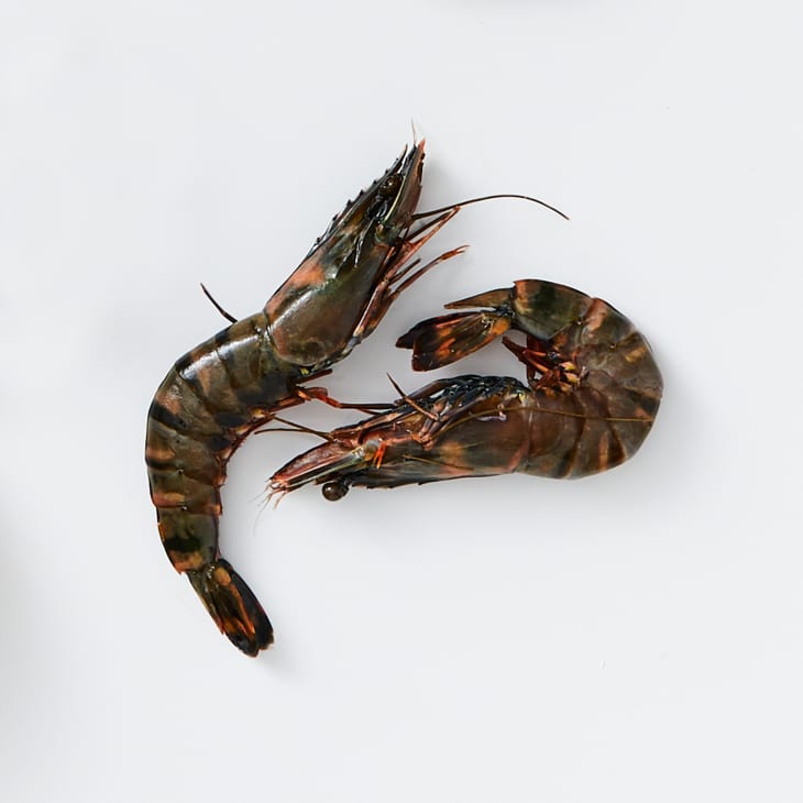 The 9 Most Popular Types of Shellfish | The Kitchn