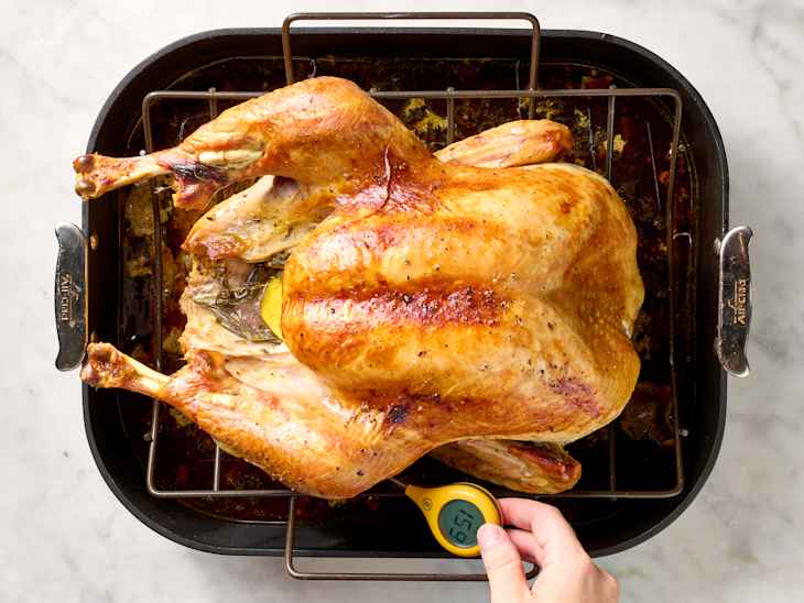 How to Check a Turkey for Doneness | The Kitchn