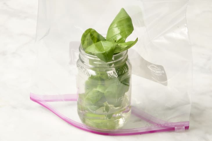 I Finally Found the Best Way to Store Basil So It Stays Fresh for Two ...