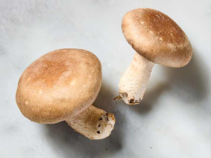 16 Types of Mushrooms (Plus How to Cook with Them) | The Kitchn