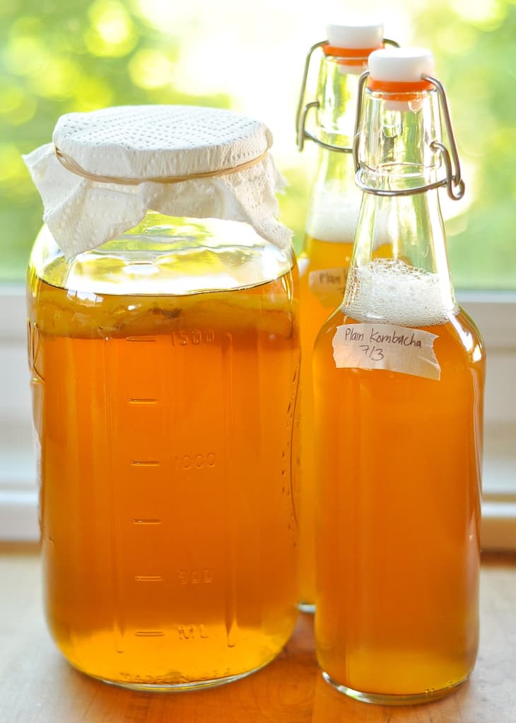 5 Things I Wish I Knew Before Making Kombucha | The Kitchn