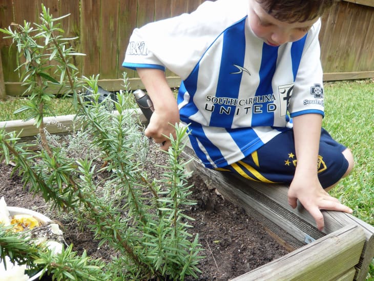 The Absolute Easiest Way to Compost | The Kitchn