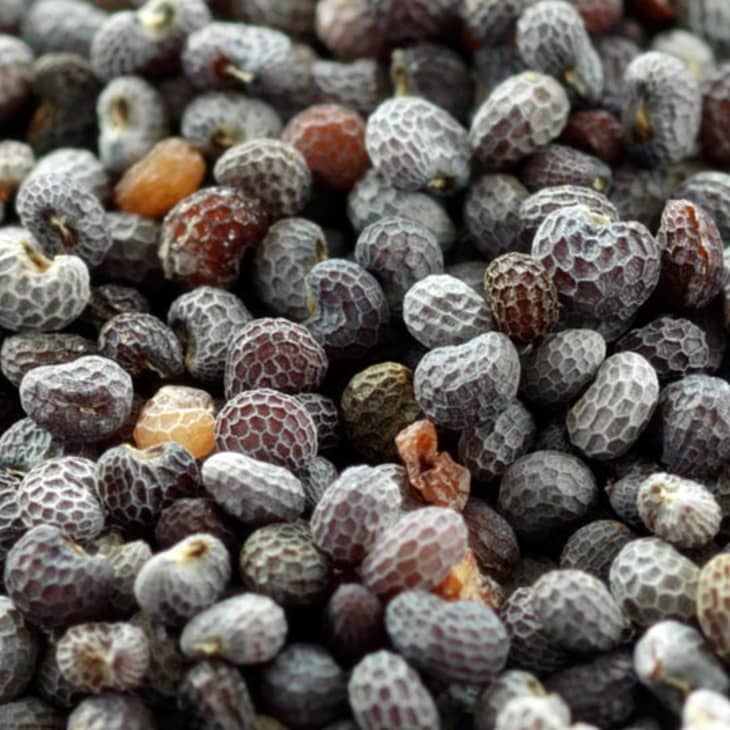 Mighty Tiny, Mighty Crunchy: Poppy Seeds | The Kitchn