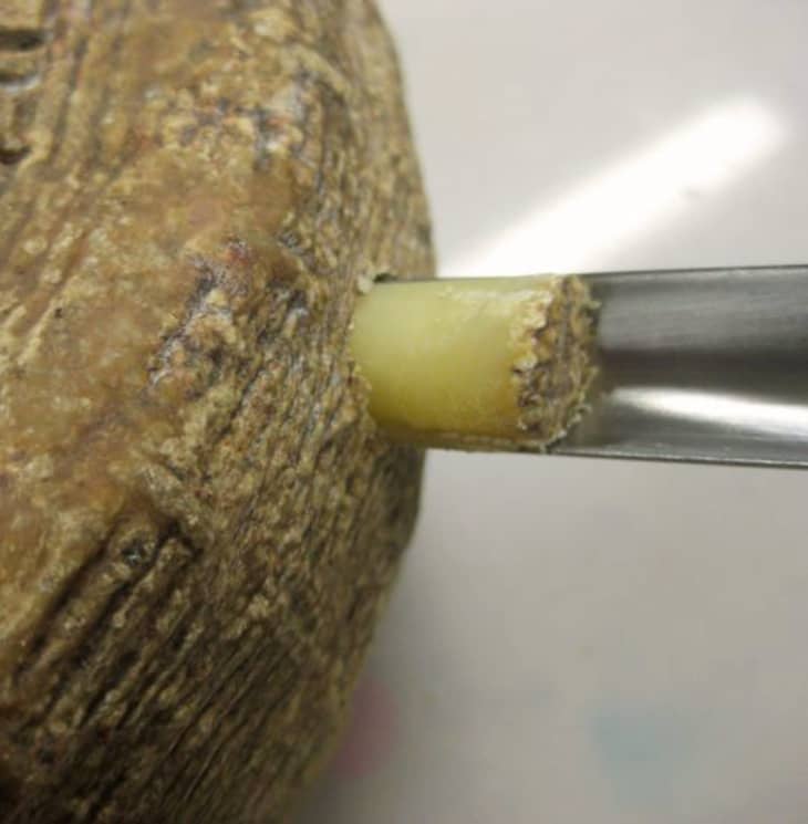 How the Pros Taste: The Cheese Trier | The Kitchn