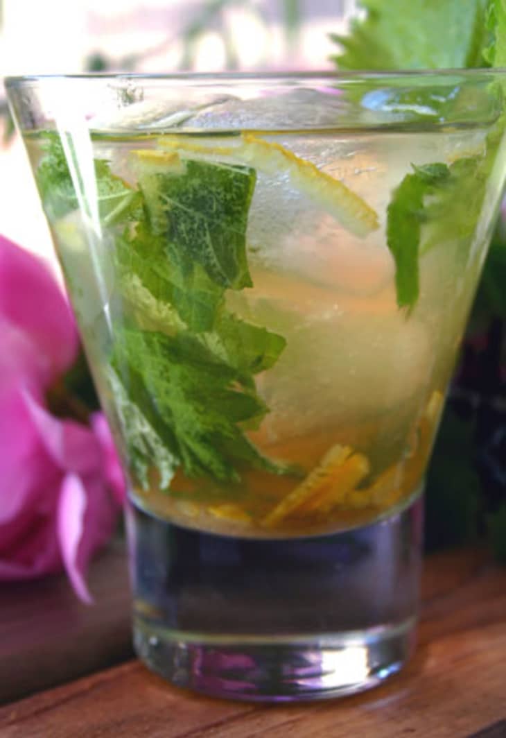 Straight Up: Using Shiso in Cocktails (Mojitos and More) | The Kitchn