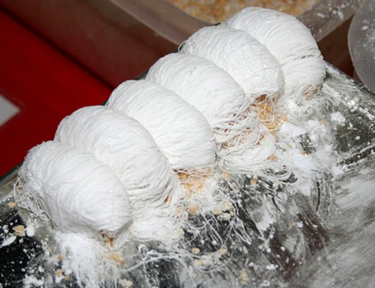 Holiday Cooking Project: Homemade Hand-Pulled Cotton Candy | The Kitchn