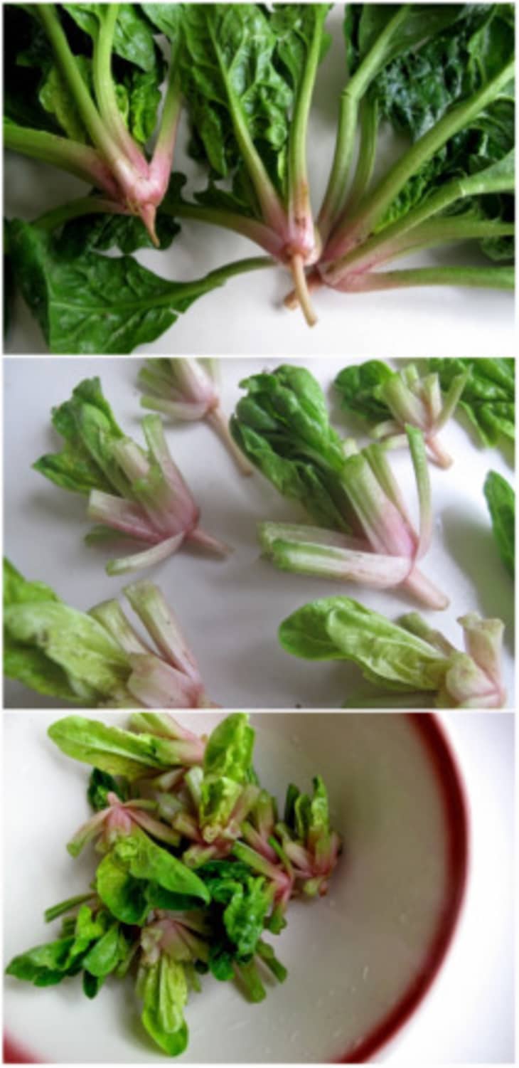 Winter Recipe: Spinach Crowns with Sesame Dressing | The Kitchn