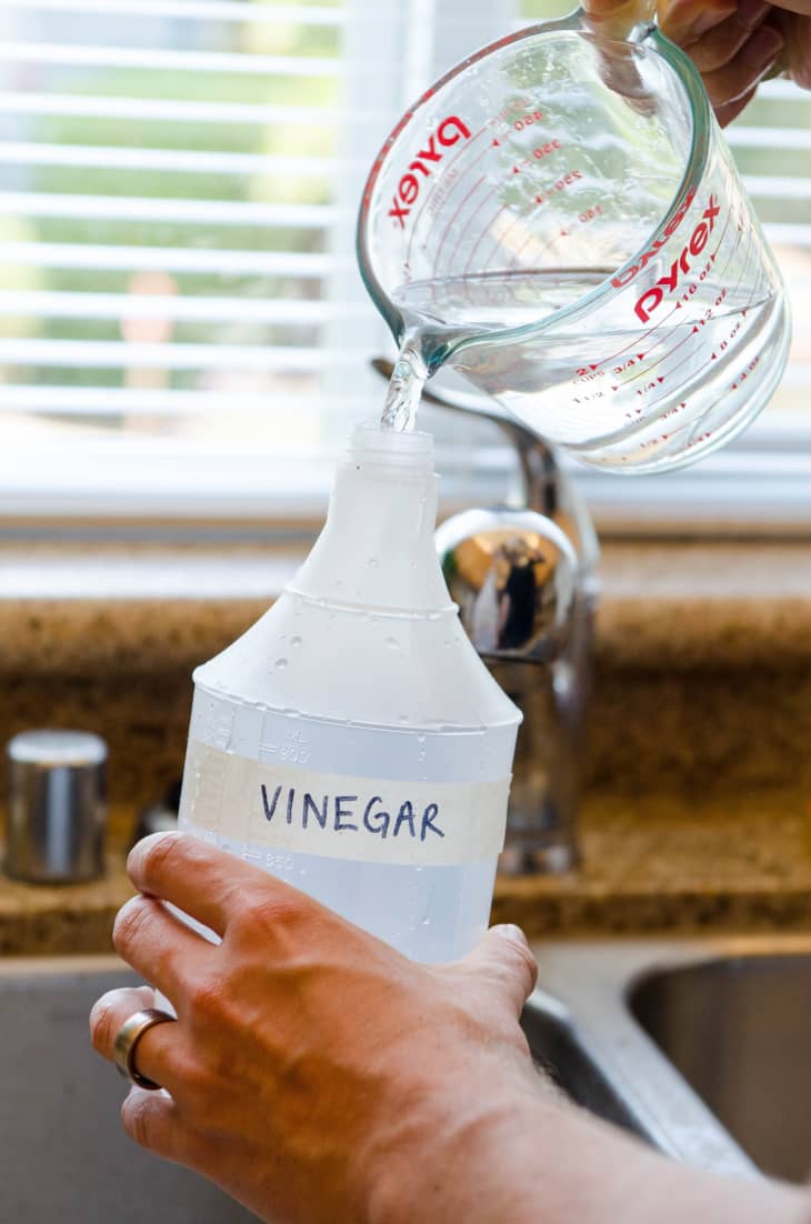 How to Clean Your Freezer for Summer | The Kitchn