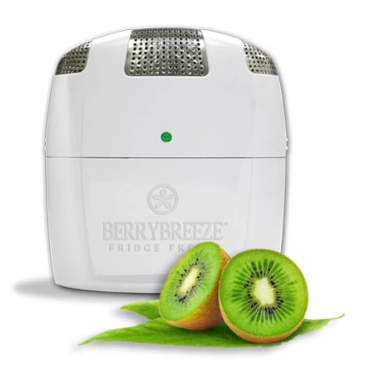 Fridge Fresh Product Review | The Kitchn