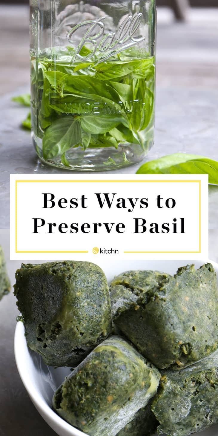 The Best Ways to Preserve Basil | The Kitchn