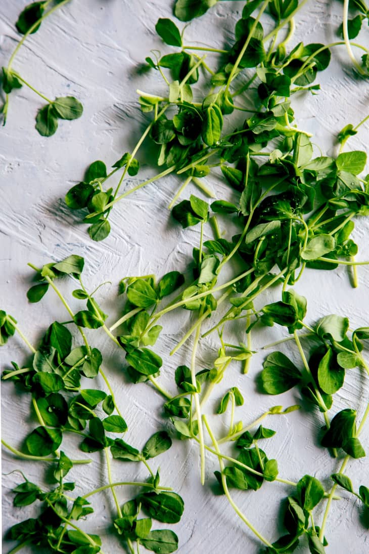 Bring New Flavors to Salad with These 5 Spring Greens | The Kitchn