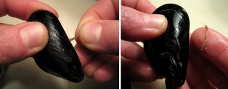 How To Clean and Debeard Mussels | The Kitchn