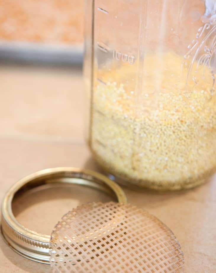 How Peggy Sutton Started a Sprouted Flour Business in Her Alabama ...