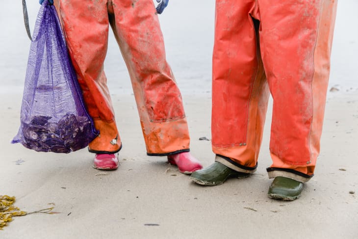 The Best Ways to Store, Shuck, & Eat Oysters | The Kitchn