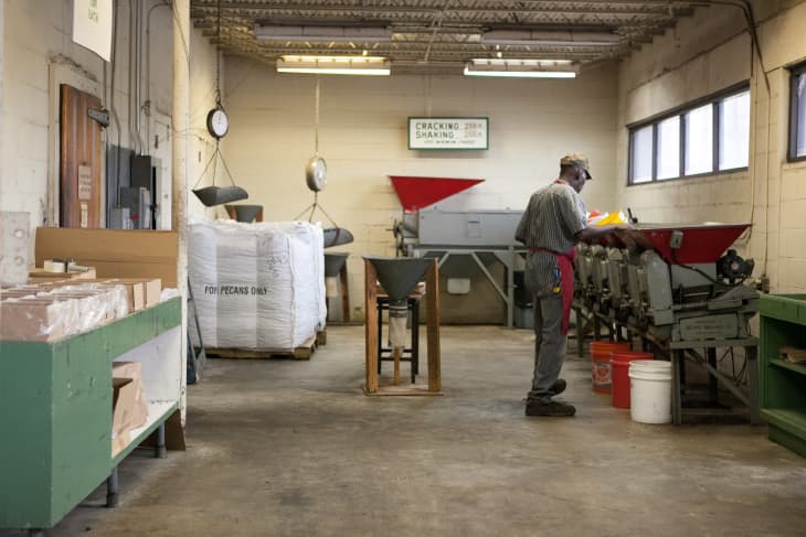 How Tucker Pecans Grows Pecans in Montgomery, Alabama | The Kitchn