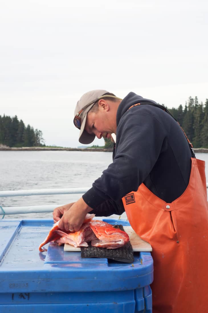 Scenes from Alaskan Fish Camp: Filleting a Yelloweye Rockfish Right on ...