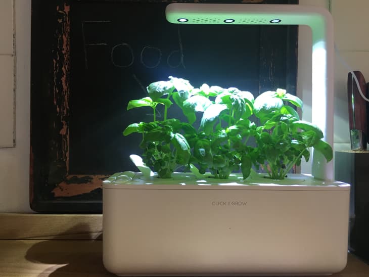 Does the Click and Grow Garden System Actually Work? | The Kitchn