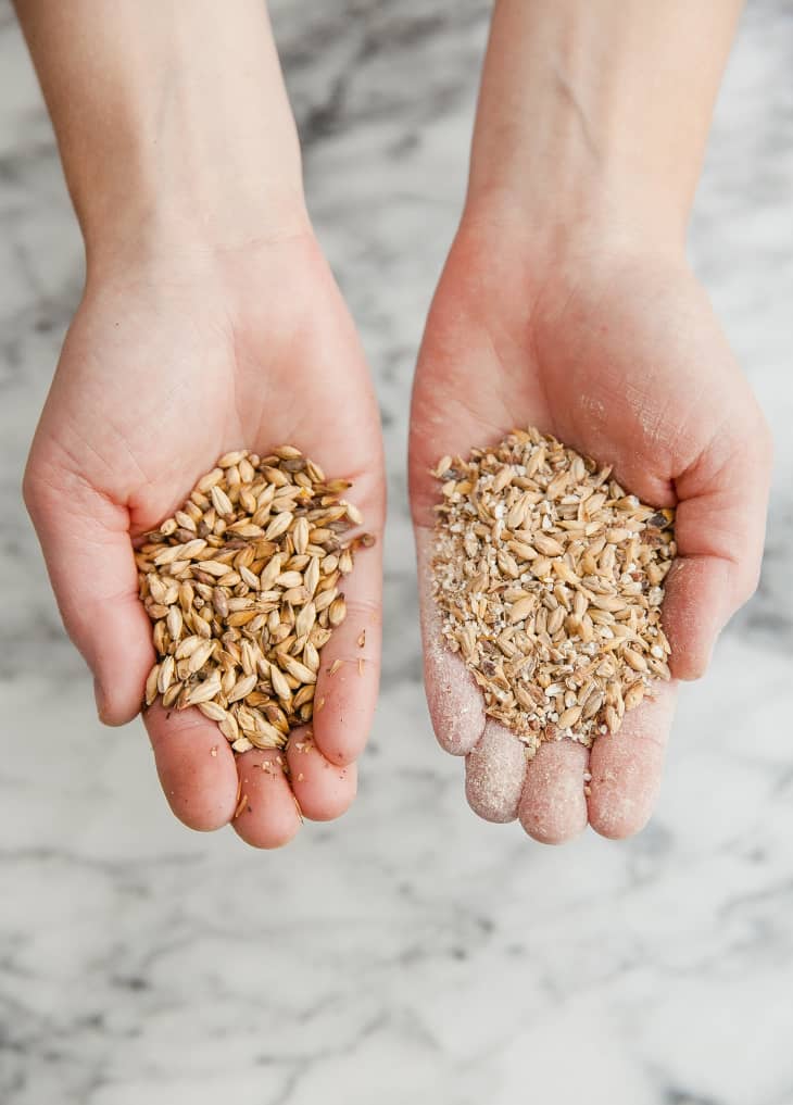 Meet the Beer We’re Going to Brew | The Kitchn