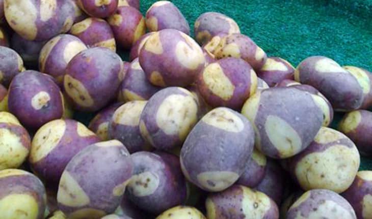 Look! Zebra Potatoes | The Kitchn