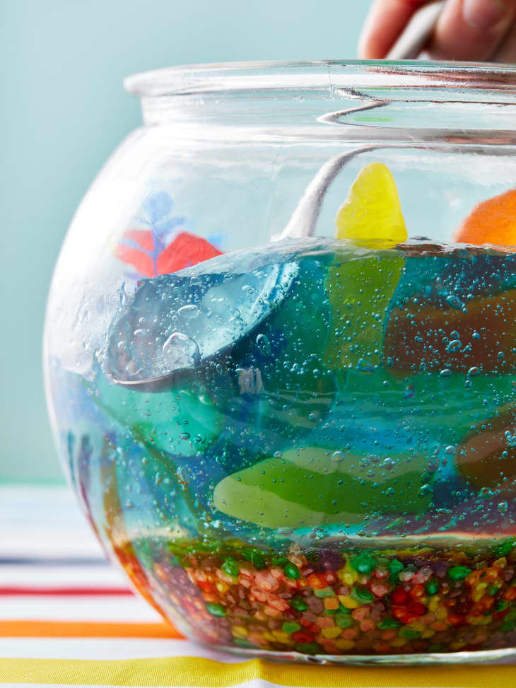 5 Shark Gadgets for Anyone Obsessed with Shark Week | The Kitchn