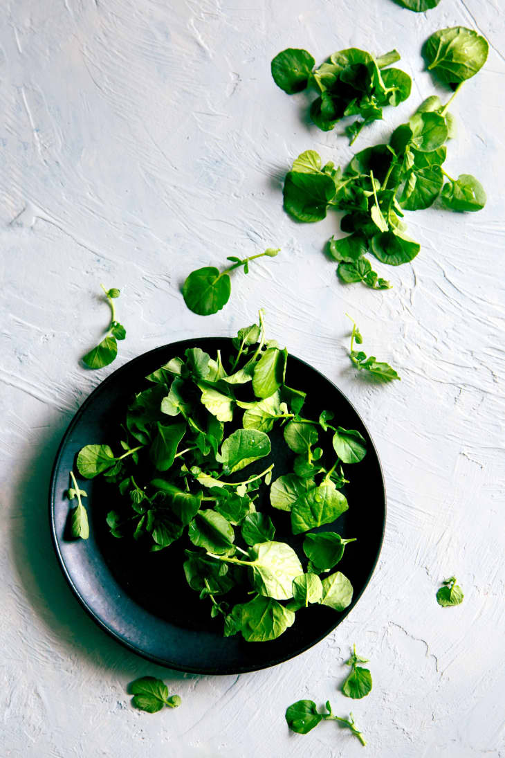 Bring New Flavors to Salad with These 5 Spring Greens | The Kitchn