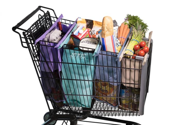 Reusable Shopping Bags - Lotus Trolley Review | The Kitchn