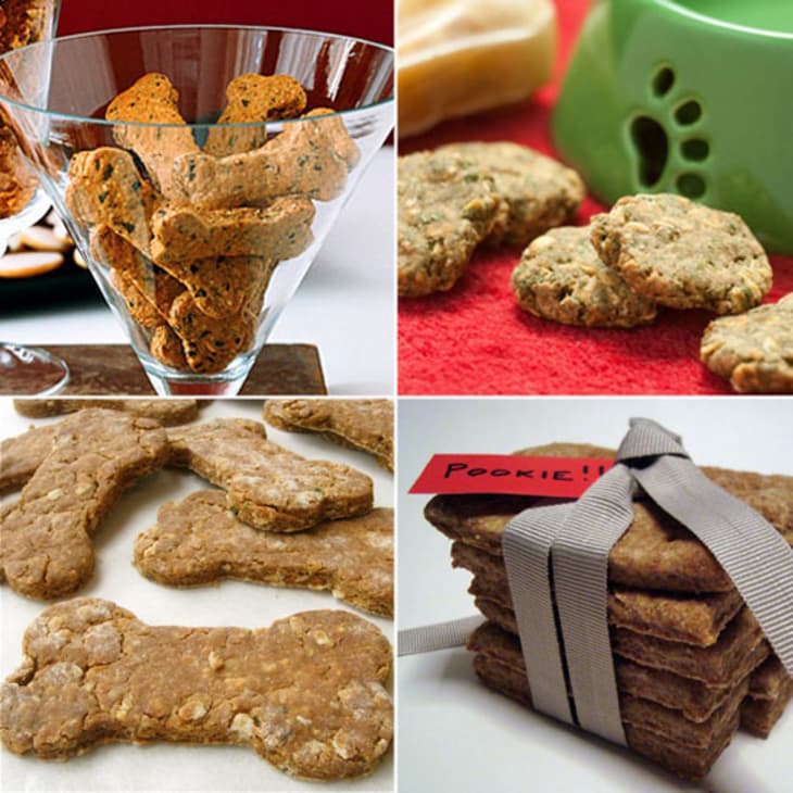 Cookies For Canines: 9 Homemade Dog Treat Recipes | The Kitchn