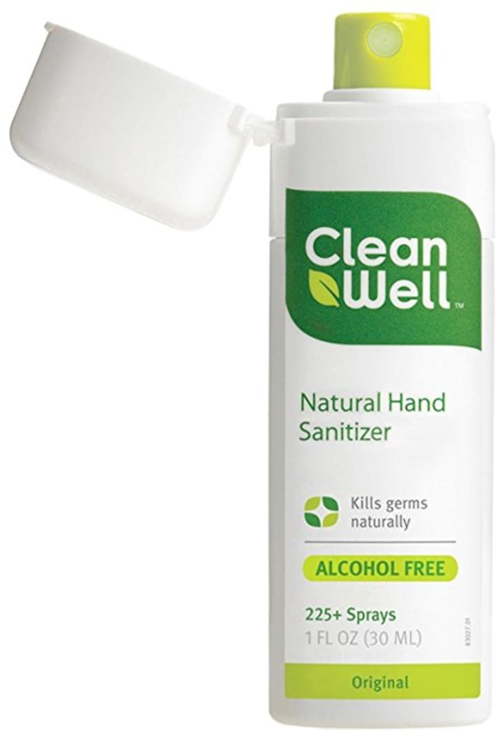 Clean Well Alcohol Free Natural Hand Sanitizer Review | The Kitchn