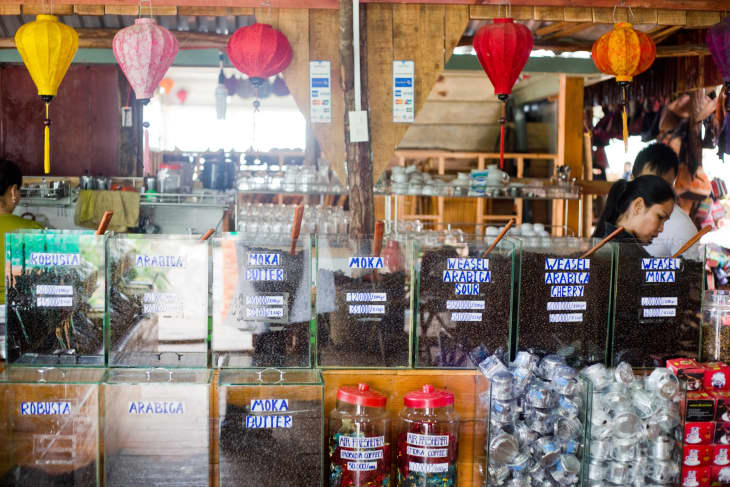 How Coffee Is Grown at the Me Linh Coffee Garden in Vietnam | The Kitchn