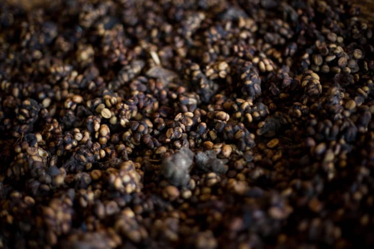Everything You Wanted to Know (But Were Afraid to Ask) About Coffee ...