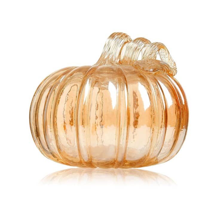 If You Spot This $15 Aldi Decor Gem in Stores, Grab It | The Kitchn