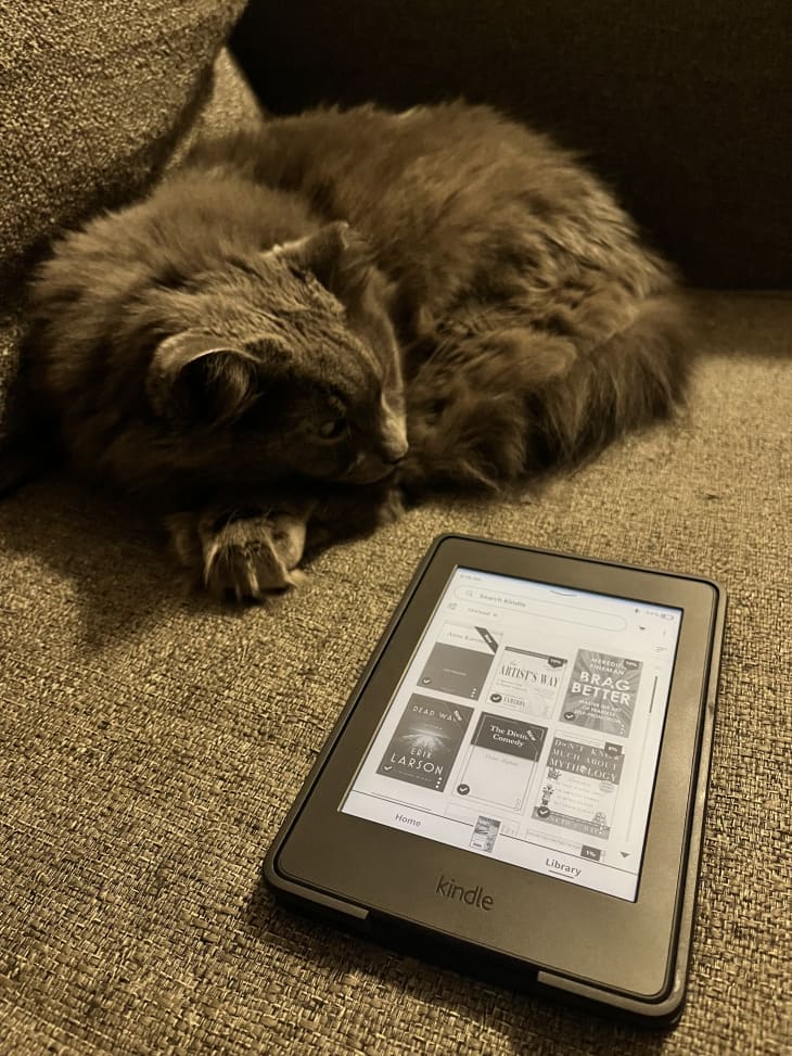 Kindle Paperwhite Review: As an Avid Reader, I Swear By It | Apartment ...