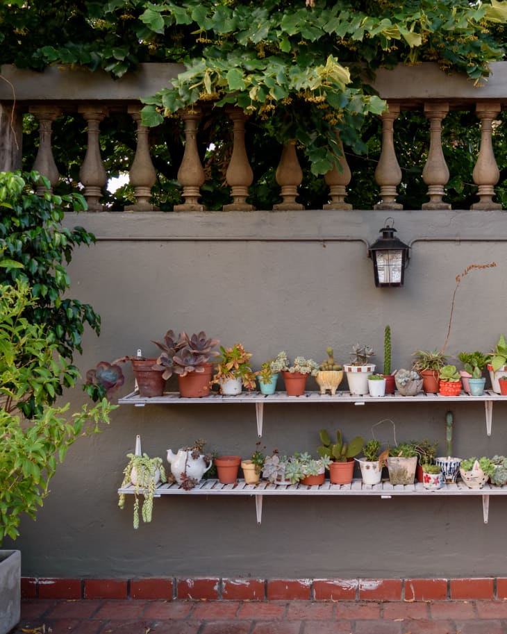 How to Display Houseplants: 100 of Our Favorite Plant-Display Ideas ...
